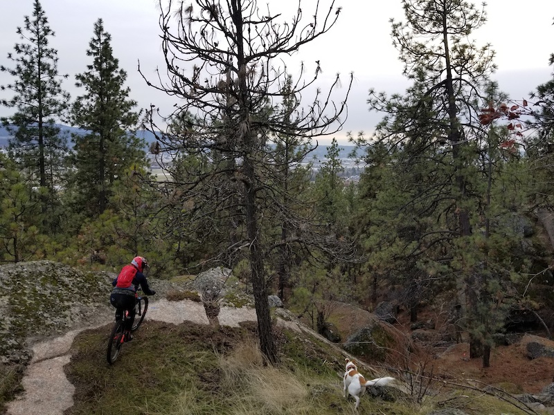 Ninja Camp Mountain Biking Trail - Spokane, Washington