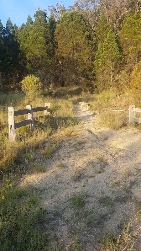 Tank Slapper Mountain Biking Trail - Stanthorpe