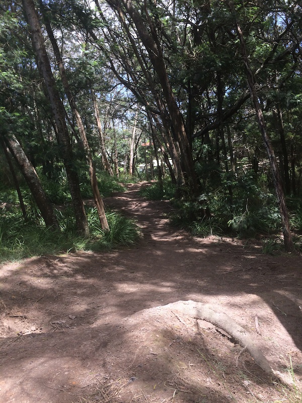 Unsworth Jump Trail Mountain Biking Trail - Cambridge