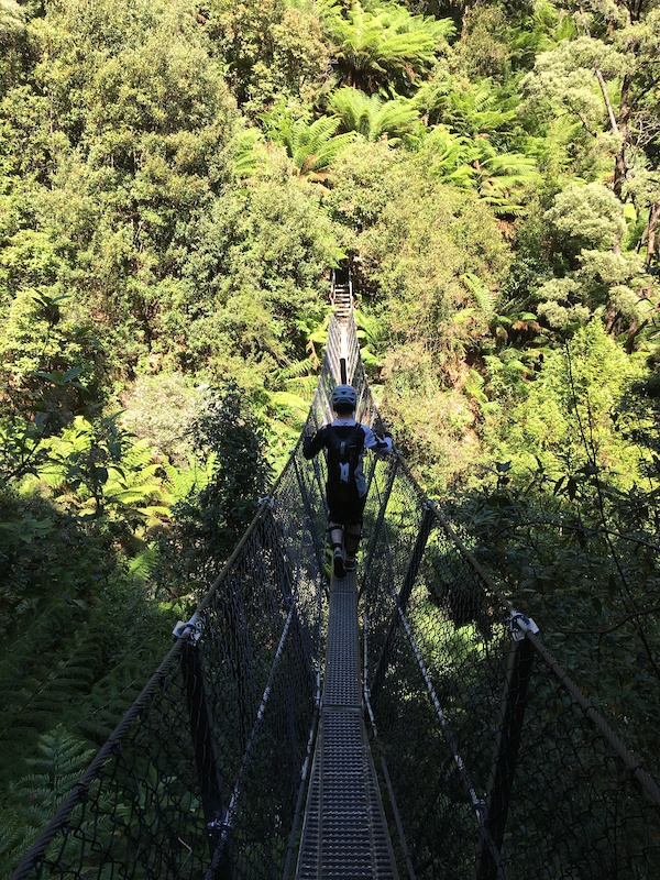 Rosebery, Australia Mountain Biking Trails | Trailforks