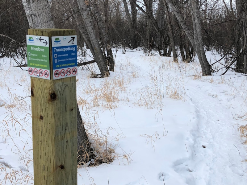 Trainspotting Mountain Biking Trail - Saskatoon, SK