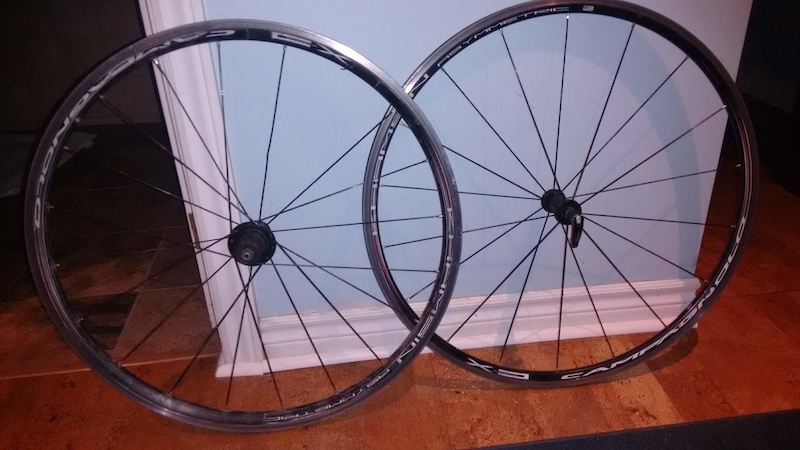 2016 Campagnolo CX cyclocross front wheel plus+ for SHIMANO For Sale