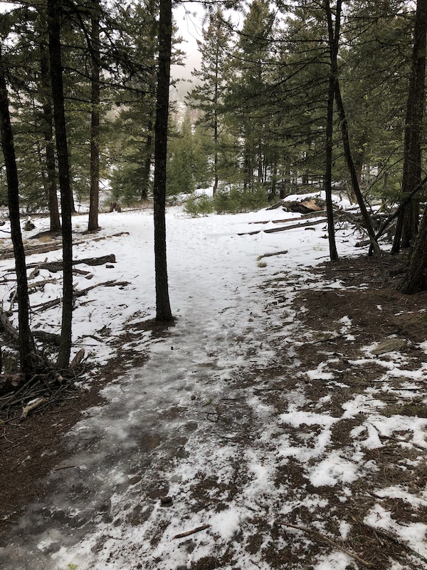 Little Pine Multi Trail - Kamloops, British Columbia