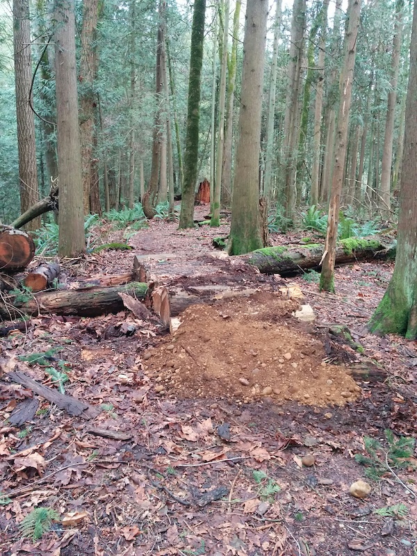 Cliffside Point Mountain Biking Trail - Delta, BC