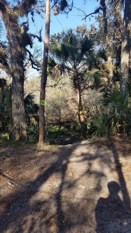Ditch of Doom Mountain Biking Trail - Oviedo, Florida