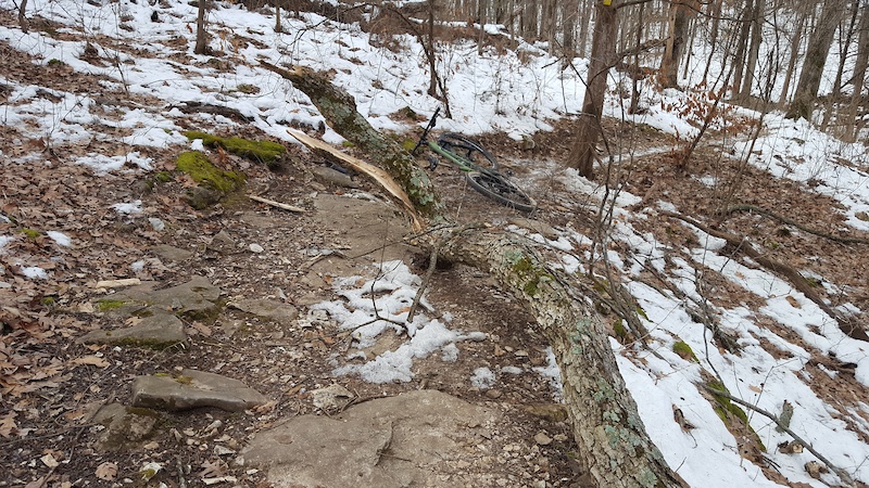 Deer Run Loop Mountain Biking Trail - Columbia, MO