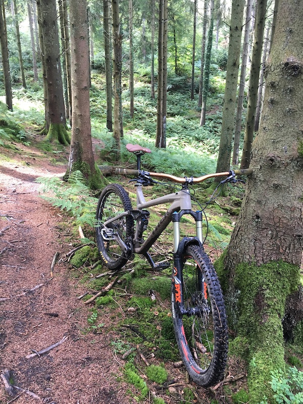 Enduro singletrack Mountain Biking Trail - Gloucester