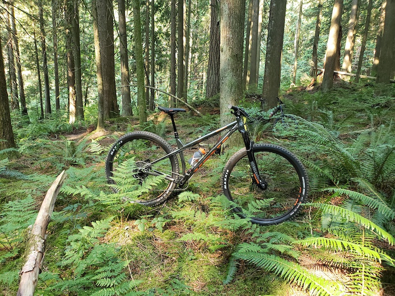 in Maple Ridge, British Columbia, Canada - photo by MattStevens - Pinkbike