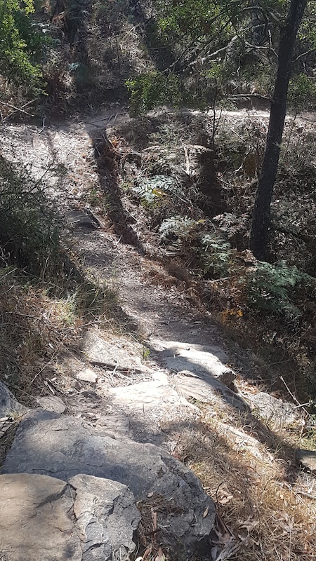 Creswick State Forest Mountain Biking Trails | Trailforks