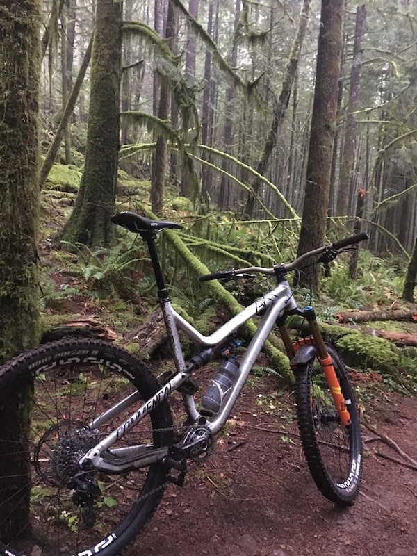 2017 META AM V4.2 BRUSHED FRAME For Sale