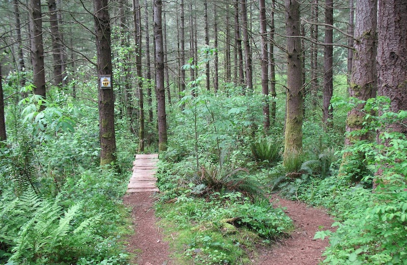 Tribulation Mountain Biking Trail - Maple Valley, WA