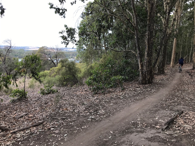 Easy Lysterfield 13km Mountain Biking Route | Trailforks