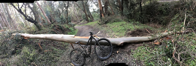 Brandon Mountain Biking Trail - Castro Valley, California
