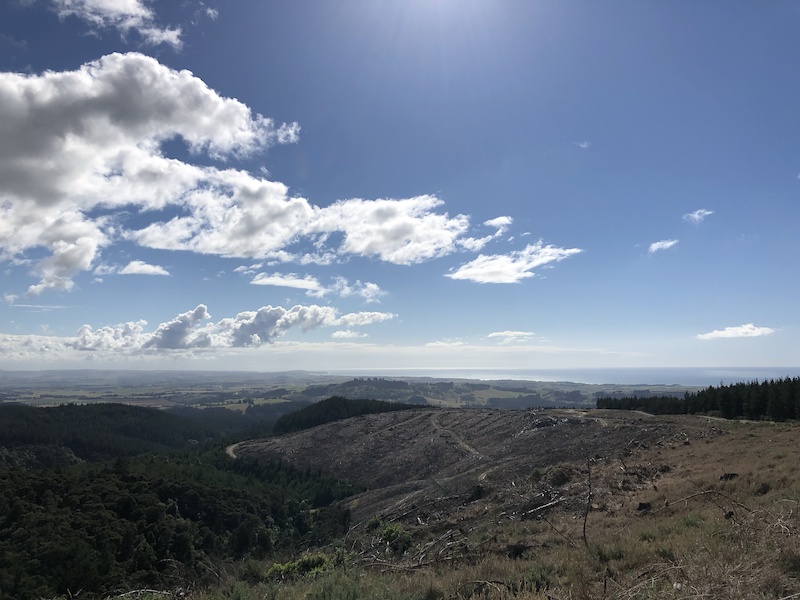 Jumpy Middle Mountain Biking Trail - Oamaru | Trailforks
