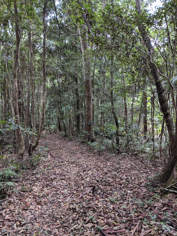 Snake Trail Mountain Biking Trail - Coffs Harbour
