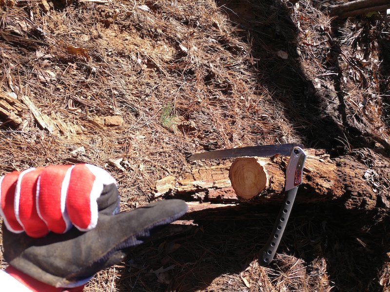 Waya Trail Mountain Biking Trail - Cherokee, NC