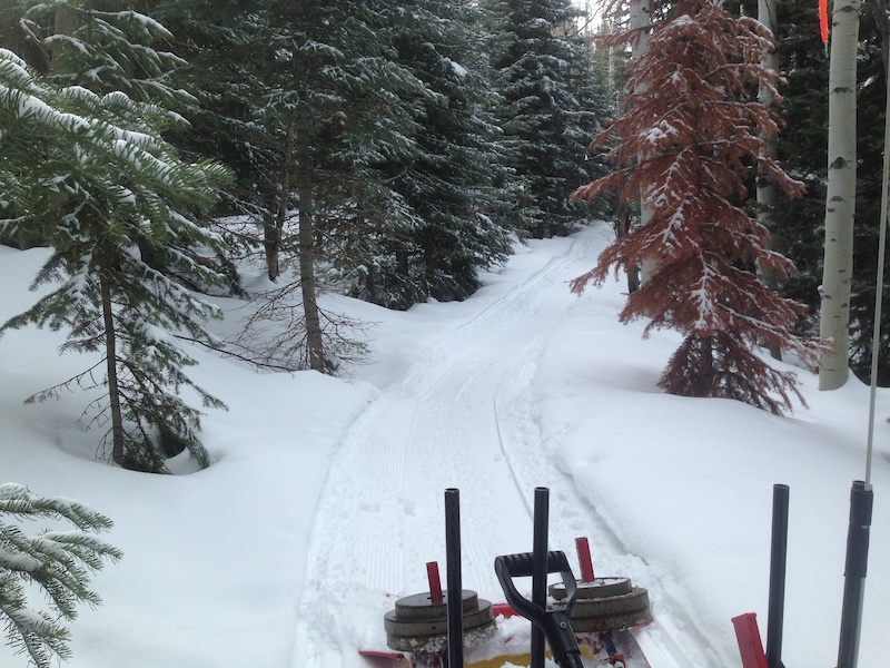 Angry Grouse Multi Trail - Steamboat Springs, Colorado