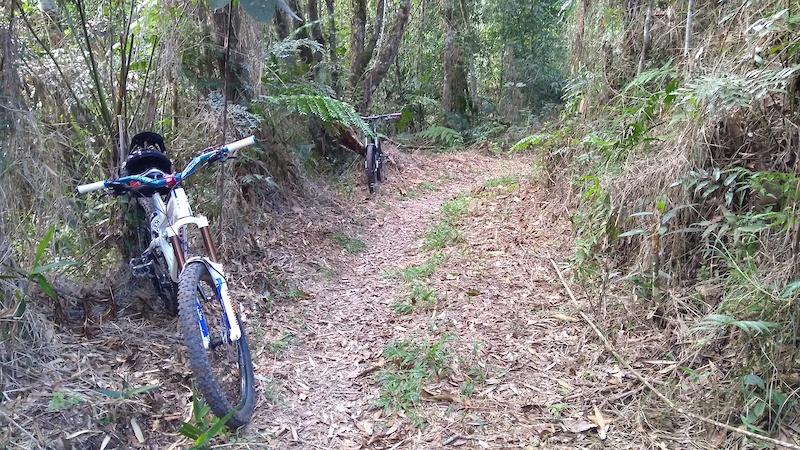 Mini Spitz Mountain Biking Trail - | Trailforks