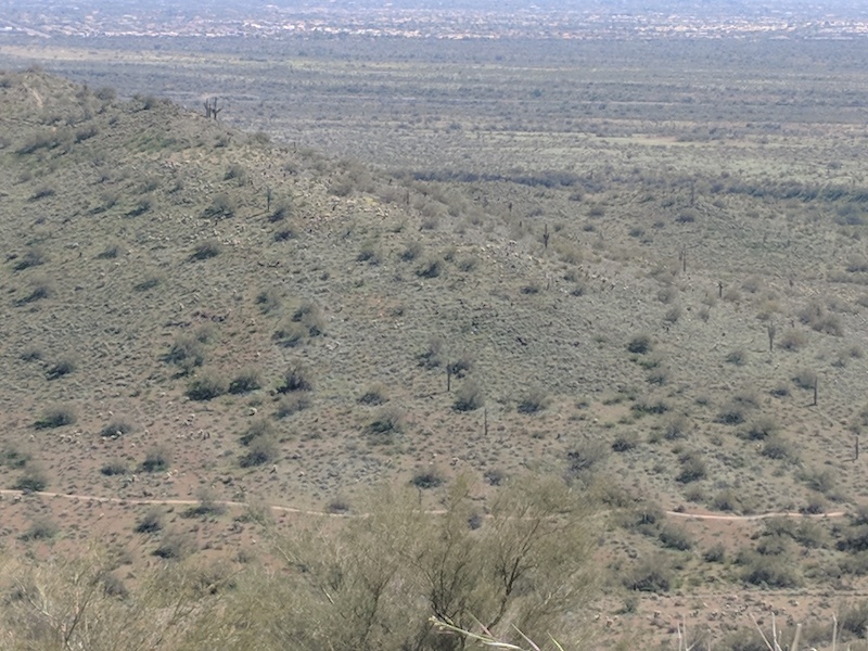 Ridgeback Multi Trail - Phoenix, Arizona | Trailforks