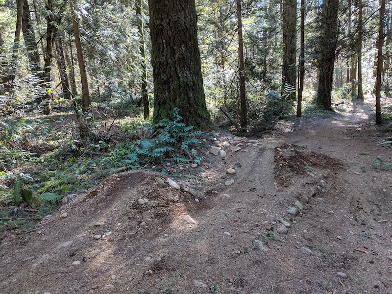 Shed Line Mountain Biking Trail - Delta, British Columbia