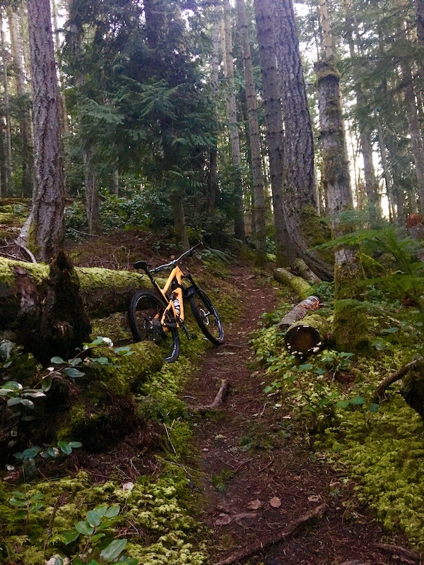 Bluff Trail Mountain Biking Trail - Sequim, Washington