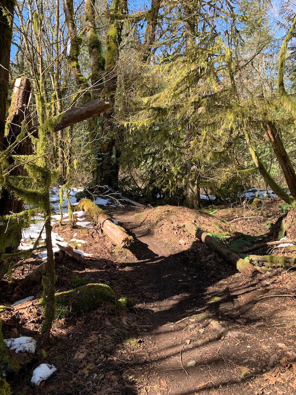Spring Lake/Lake Desire, Renton Mountain Biking Trails | Trailforks