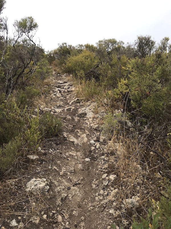 Greater Perth Metropolitan Region (WA) Mountain Biking Trails | Trailforks