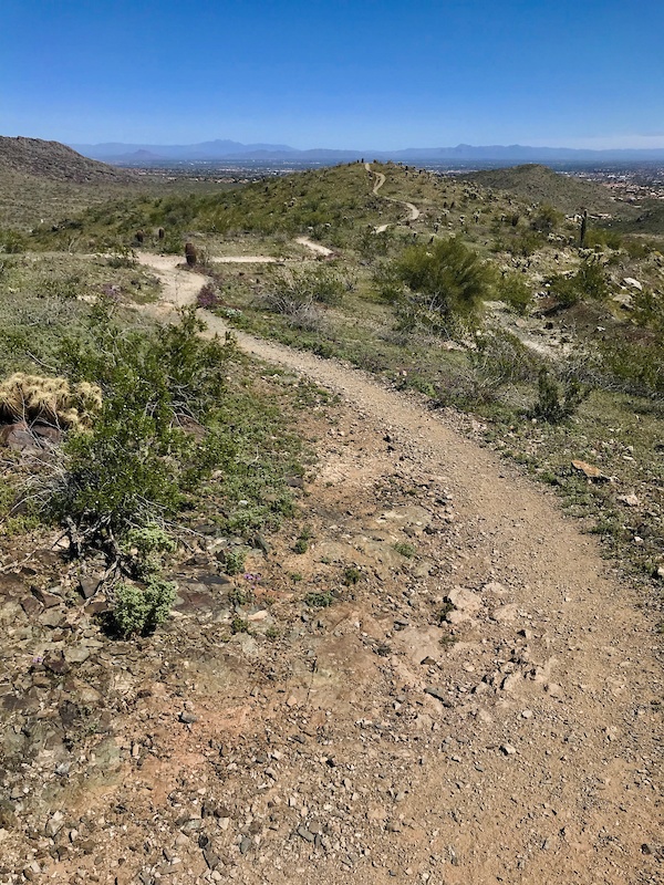 Desert Classic to Helipad Mountain Biking Route | Trailforks