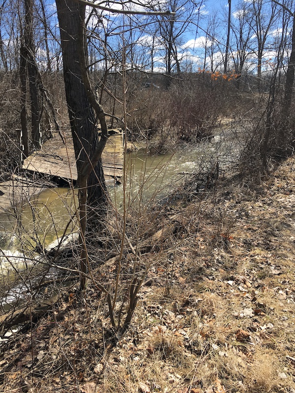 Ionia State Recreation Area Mountain Biking Trails | Trailforks