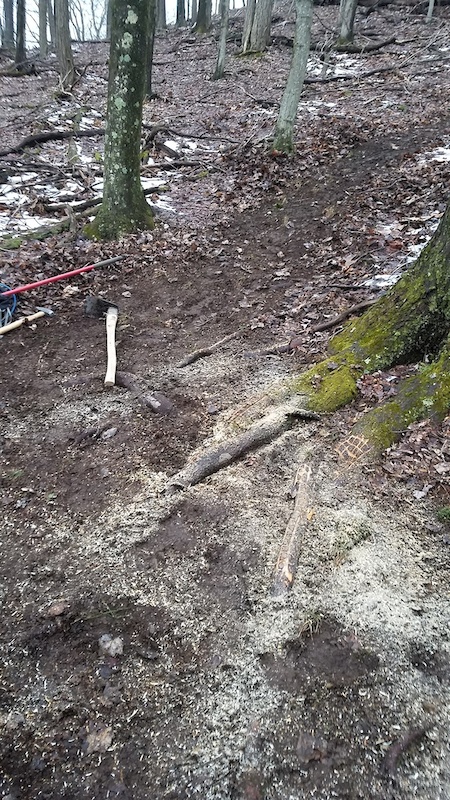 Fall Line Trail Mountain Biking Trail - Fairmont, WV