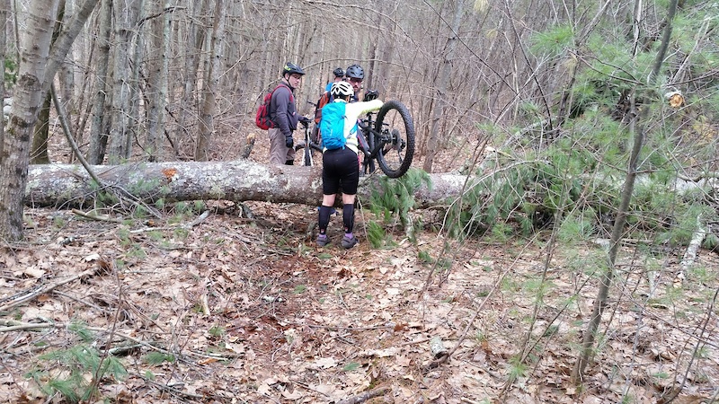 Great Brook Farm State Park, Carlisle Mountain Biking Trails | Trailforks