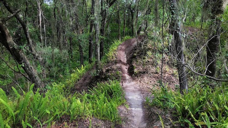 Serpent Mountain Biking Trail - Lithia, Florida