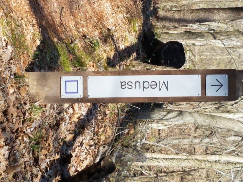 Slaughter Pen Tour Mountain Biking Route | Trailforks