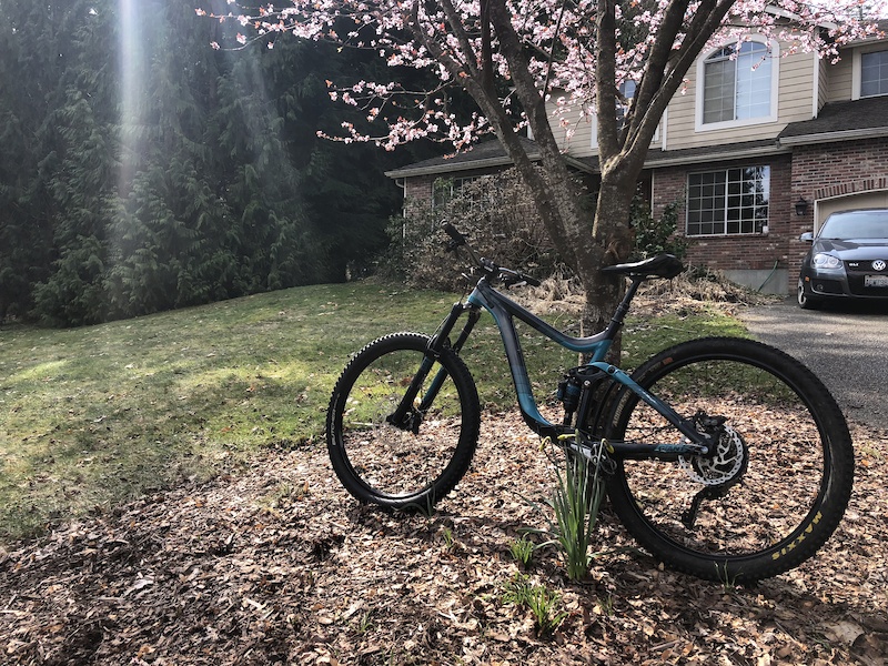 2015 Giant Reign 2 Custom Race build For Sale