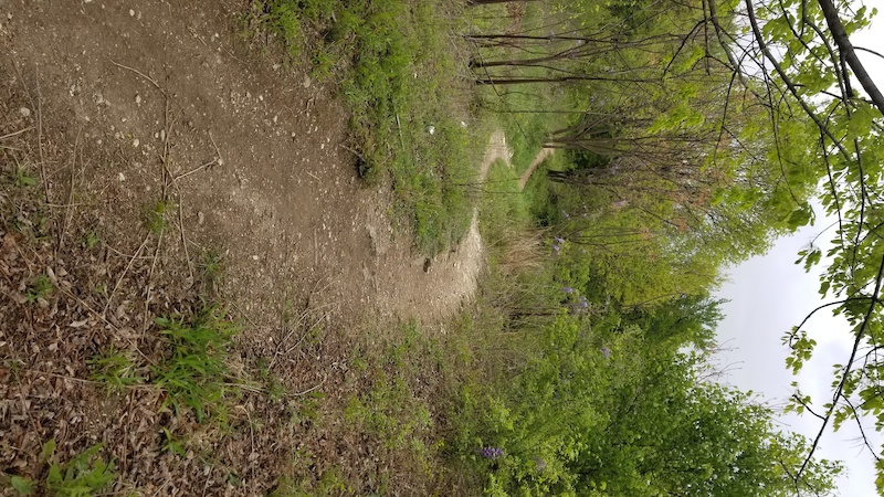 Boulder Park, Dallas Mountain Biking Trails | Trailforks