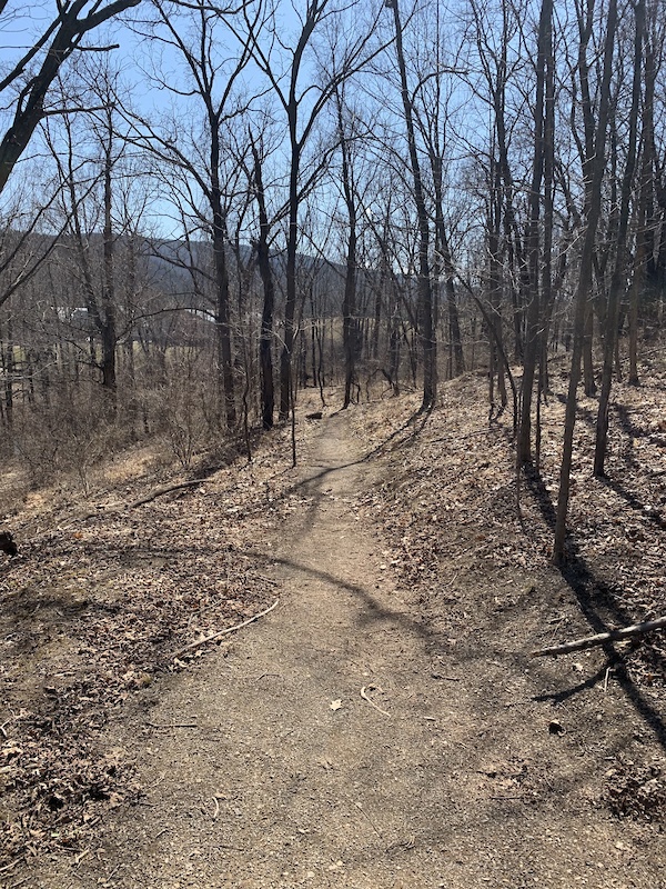 Colyer Lake, State College Mountain Biking Trails | Trailforks