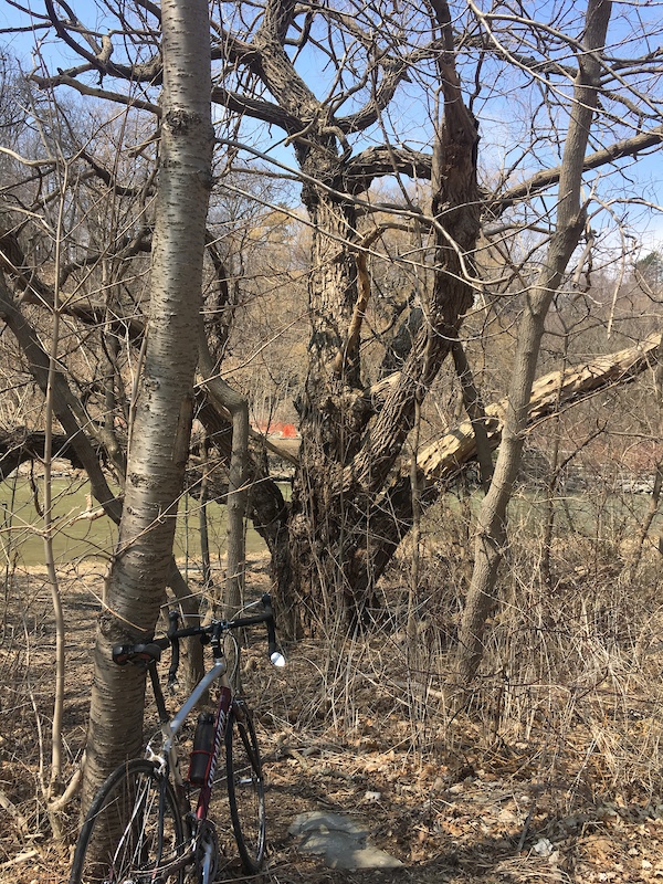 The Pan Am Path Mountain Biking Route | Trailforks