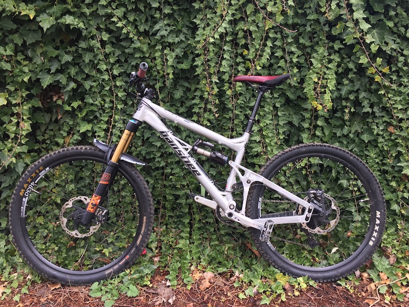 2015 Banshee Rune For Sale