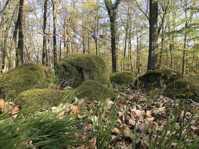 Hemsbach, Germany Mountain Biking Trails | Trailforks