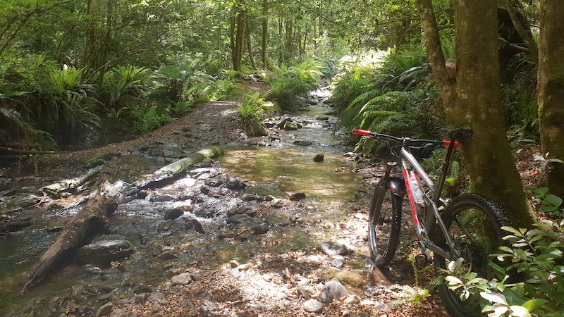 Kaimanawa Forest Park Mountain Biking Trails | Trailforks
