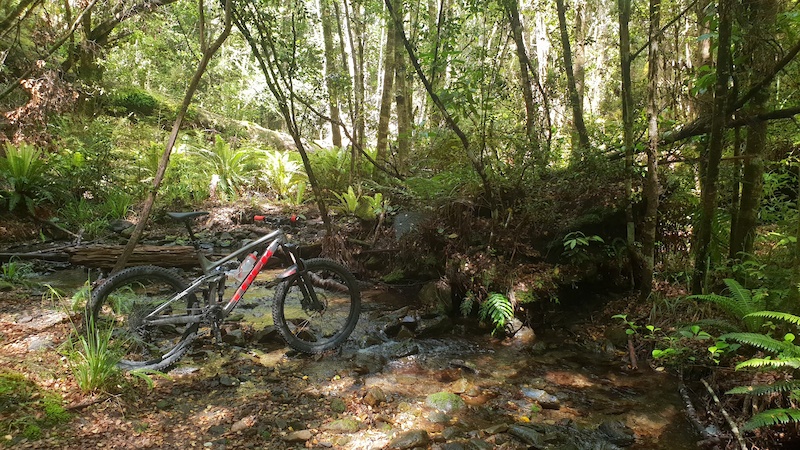 Kaimanawa Forest Park Mountain Biking Trails | Trailforks