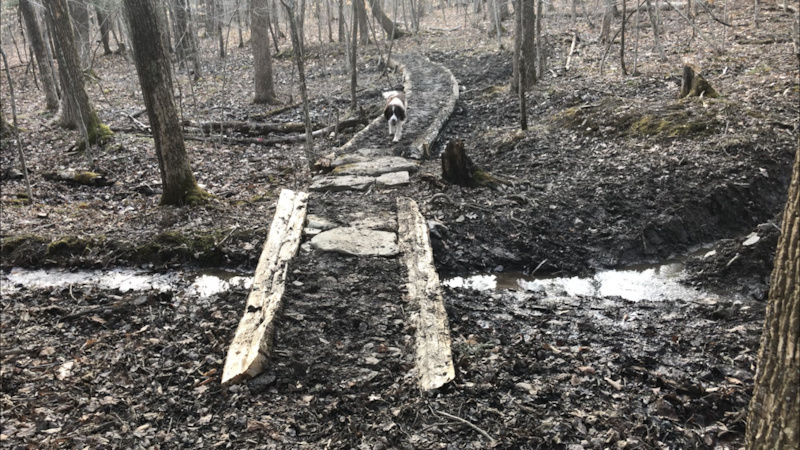 Red Eye Mountain Biking Trail - Binghamton, New York