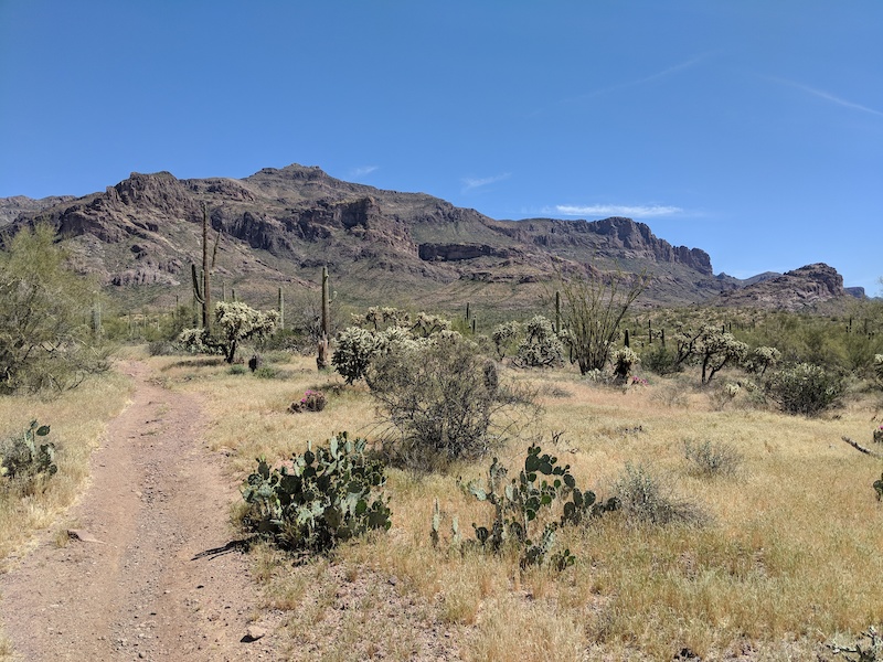 Lost Goldmine Mountain Biking Trail - Gold Canyon, AZ