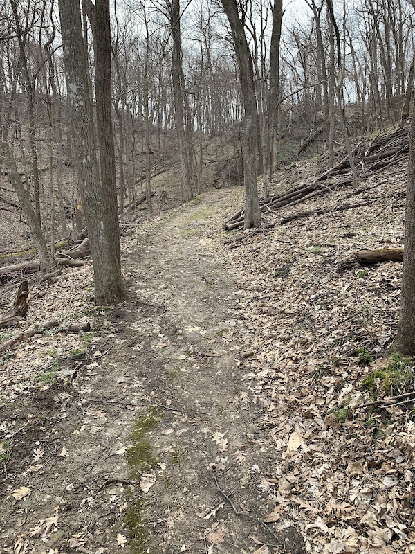 Point Ann Trail Mountain Biking Trail - McGregor, Iowa