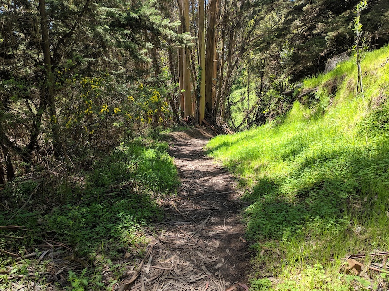 sequoia, castle, sunset loop Mountain Biking Route | Trailforks