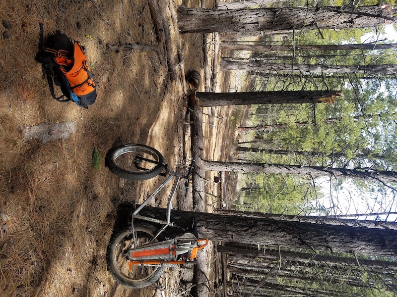 Apr 18, 2019 Kent's Trail Trail Report | Trailforks