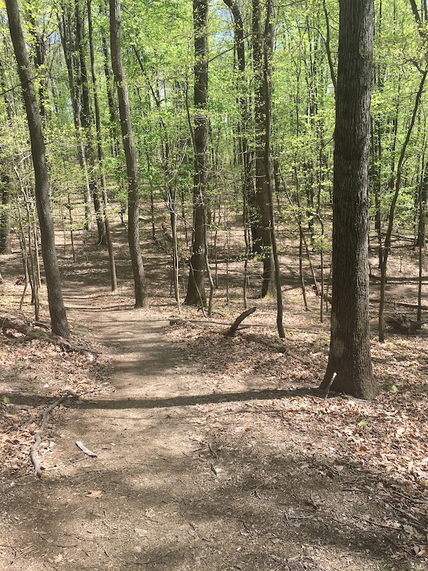 The Forbush School, Glyndon Mountain Biking Trails | Trailforks