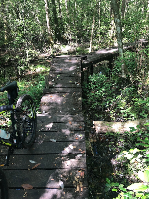 Old Apalachee Trail Multi Trail - Blakeley, Alabama