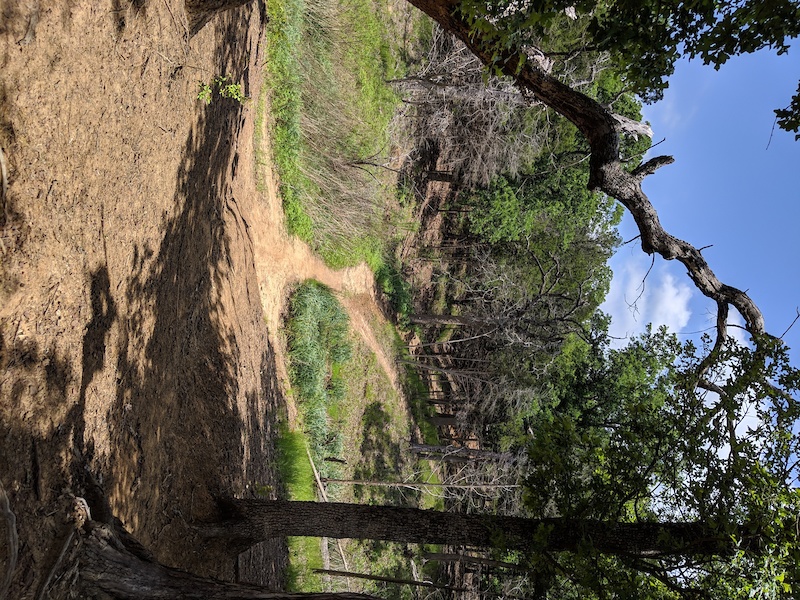 Cross Timbers Main Trail Multi Trail - Gordonville, Texas