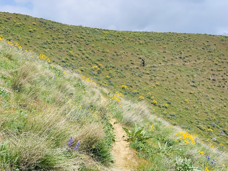 Sage Hills Trail-Little Moab Mountain Biking Trail - Wenatchee